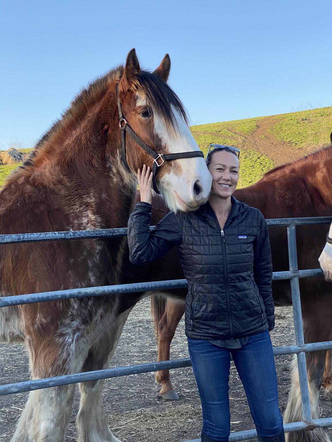 About Us: A Mission To Make World-Class Training Accessible – Volt ...